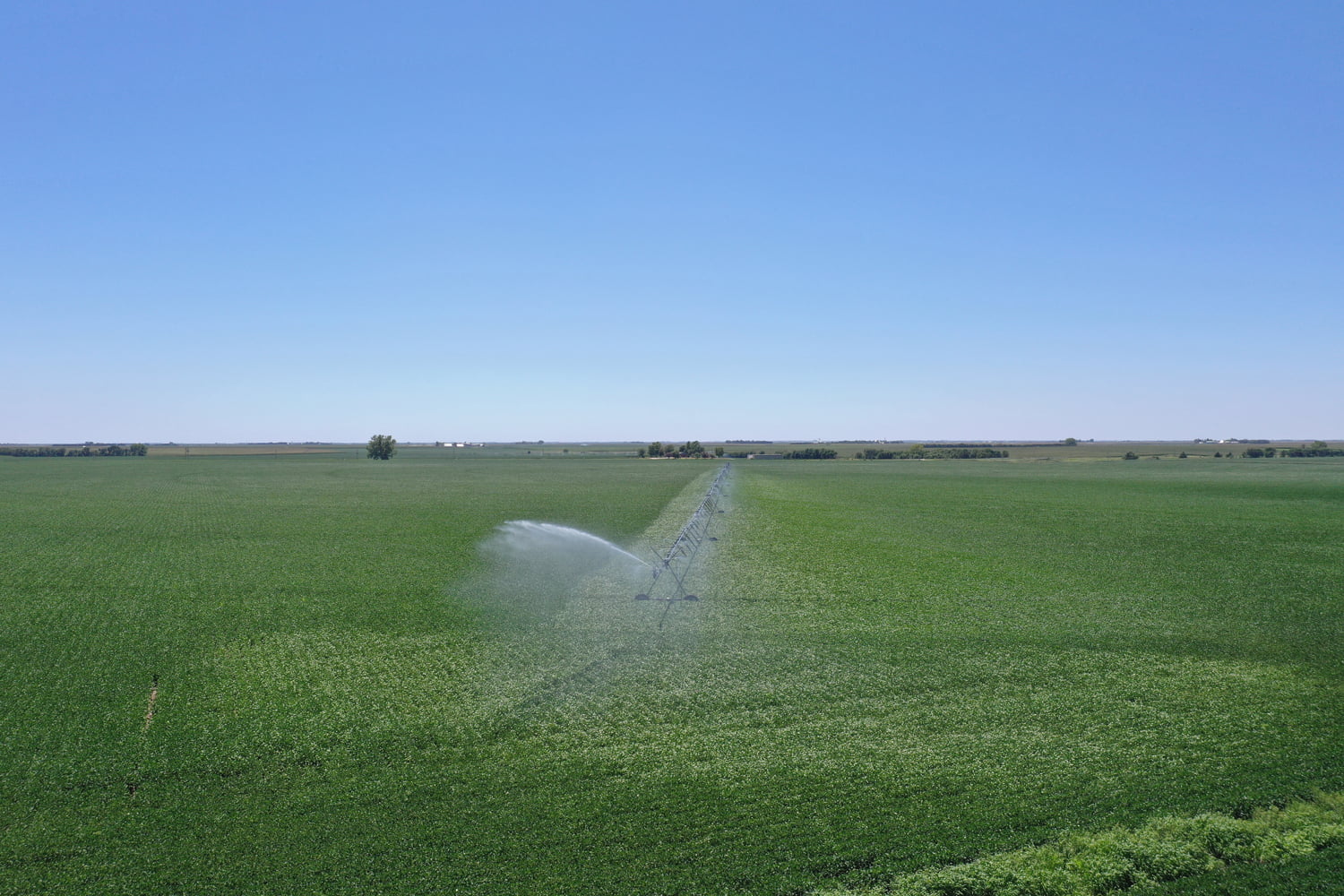 Online Land Auction - 154.93 +/- Acre Pivot Irrigated Farm in Nuckolls ...