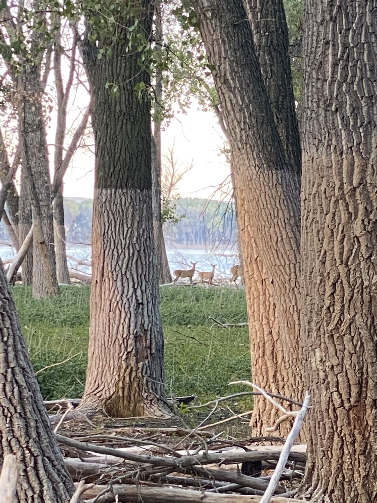 Recreational Lakefront Property 8.21 +/- Acres on Box Butte Reservoir ...