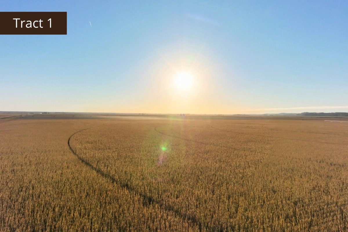 Online Auction | 471 Acres in 3 Tracts | Dawson & Custer County, NE ...